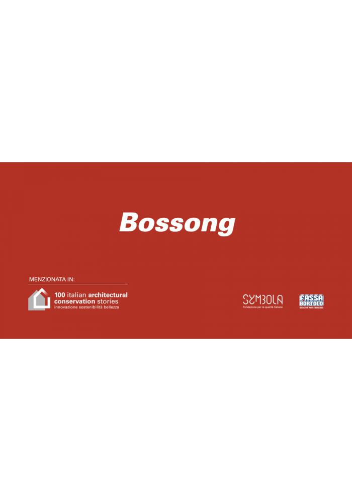 Bossong - Sistemi di fissaggio e consolidamento